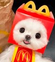 McDonald's Dog crypto project: MCDOG token listings, events, analysis ...