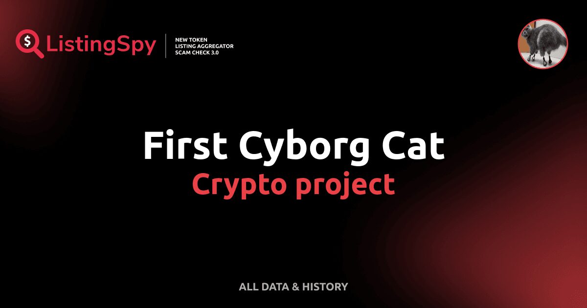 First Cyborg Cat crypto project: Dymka token listings, events, analysis ...