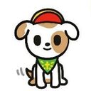 Luce Dog crypto project: SANTINO token listings, events, analysis ...