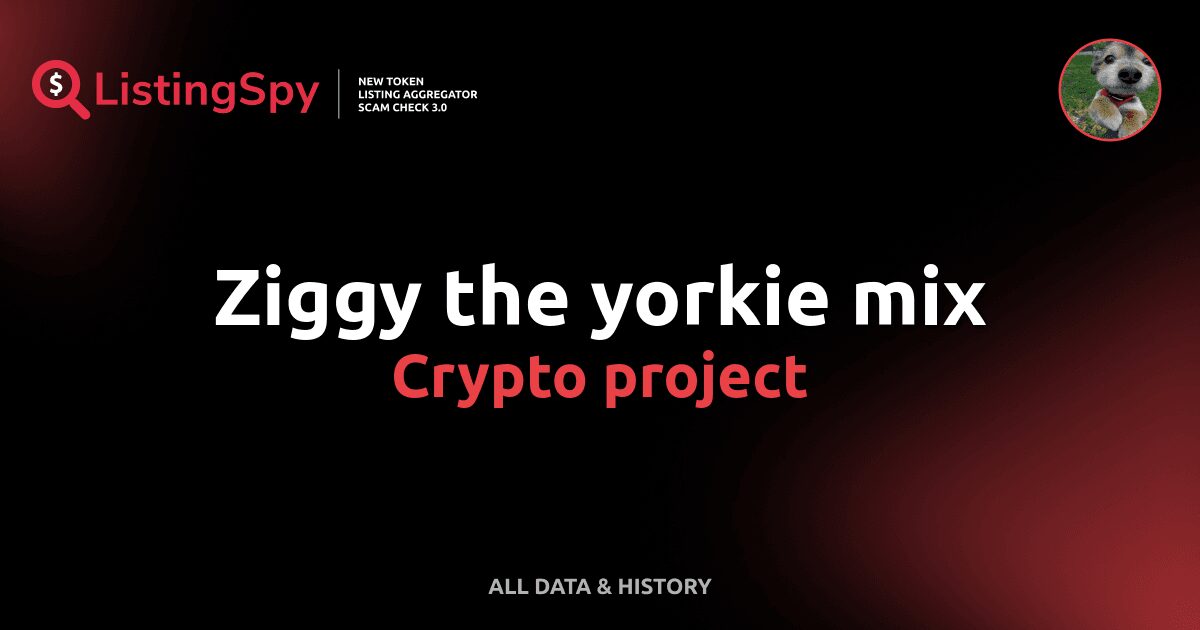 Ziggy the yorkie mix crypto project: ZIGGY token listings, events ...