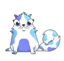 REACTOR CAT crypto project: RCAT token listings, events, analysis ...