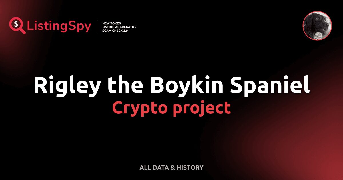 Rigley the Boykin Spaniel crypto project: RIGLEY token listings, events ...