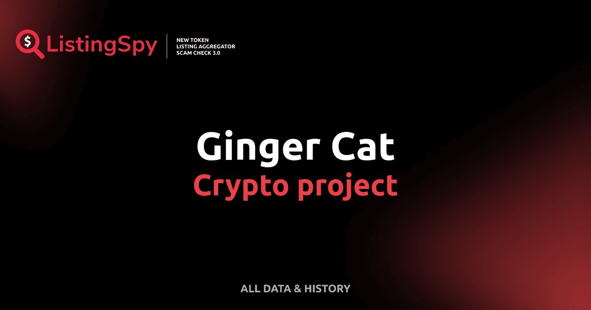 Ginger Cat crypto project: CAT token listings, events, analysis ...