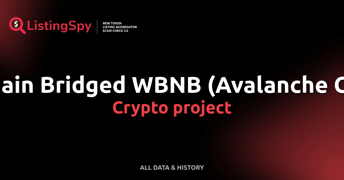 Multichain Bridged WBNB (Avalanche C-Chain) crypto project: WBNB token ...