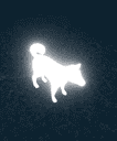 Quantum Dog crypto project: QDOG token listings, events, analysis ...