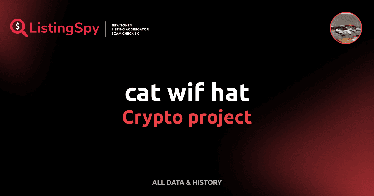 cat wif hat crypto project: CWH token listings, events, analysis | ListingSpy