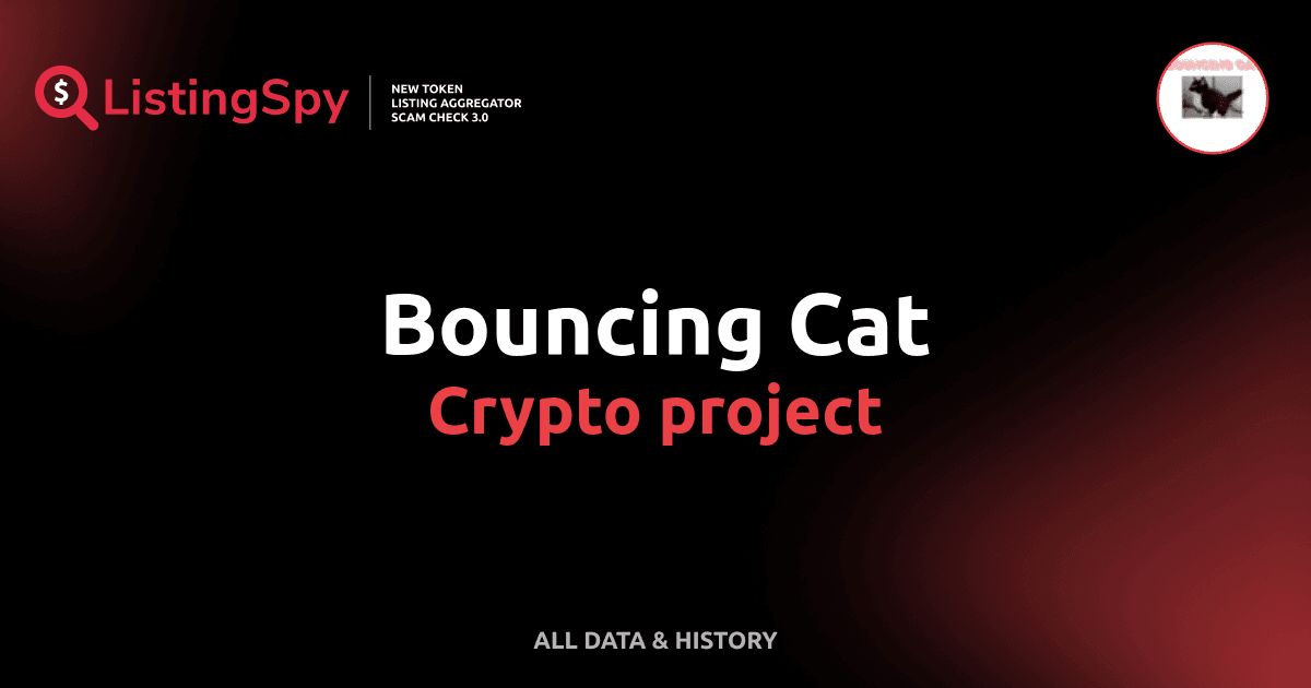 Bouncing Cat crypto project: bCAT token listings, events, analysis | ListingSpy