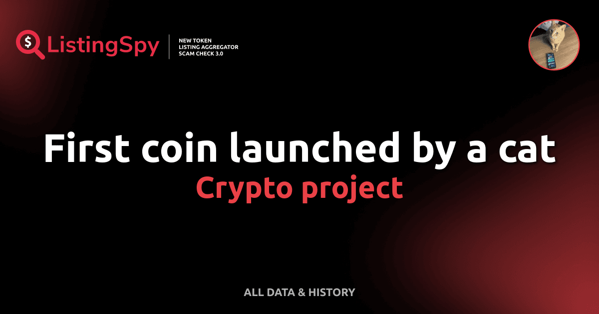 First coin launched by a cat crypto project: CAT token listings, events ...