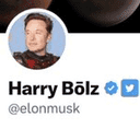 harry bolz crypto project: HARRYBOLZ token listings, events, analysis ...