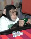 Monkey Business crypto project: MIKEY token listings, events, analysis ...