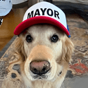 Walter Ellas crypto project: Walter token listings, events, analysis | ListingSpy