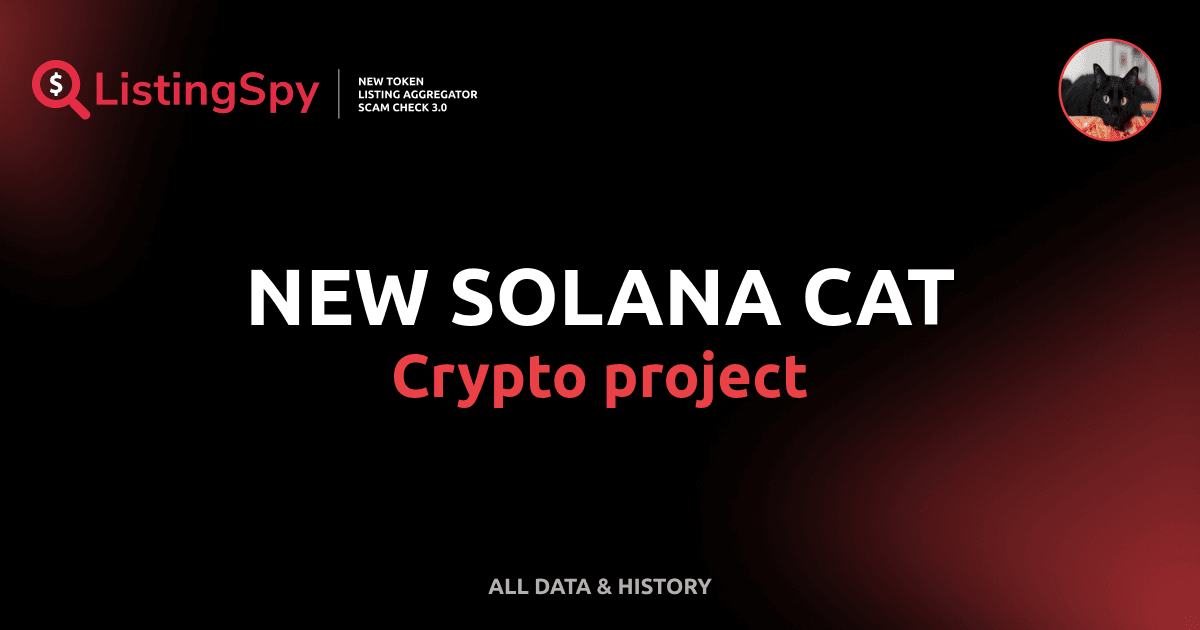 NEW SOLANA CAT crypto project: OLIVE token listings, events, analysis | ListingSpy