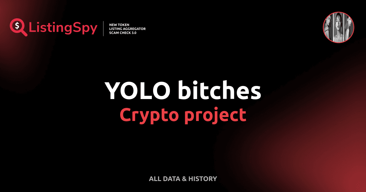 YOLO bitches crypto project: YBS token listings, events, analysis | ListingSpy