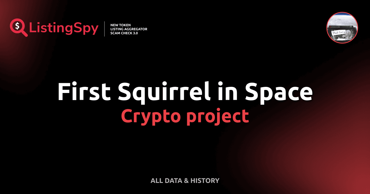 First Squirrel in Space crypto project: PHATGUS token listings, events ...