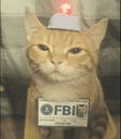 FBI cat crypto project: AgentMeow token listings, events, analysis ...