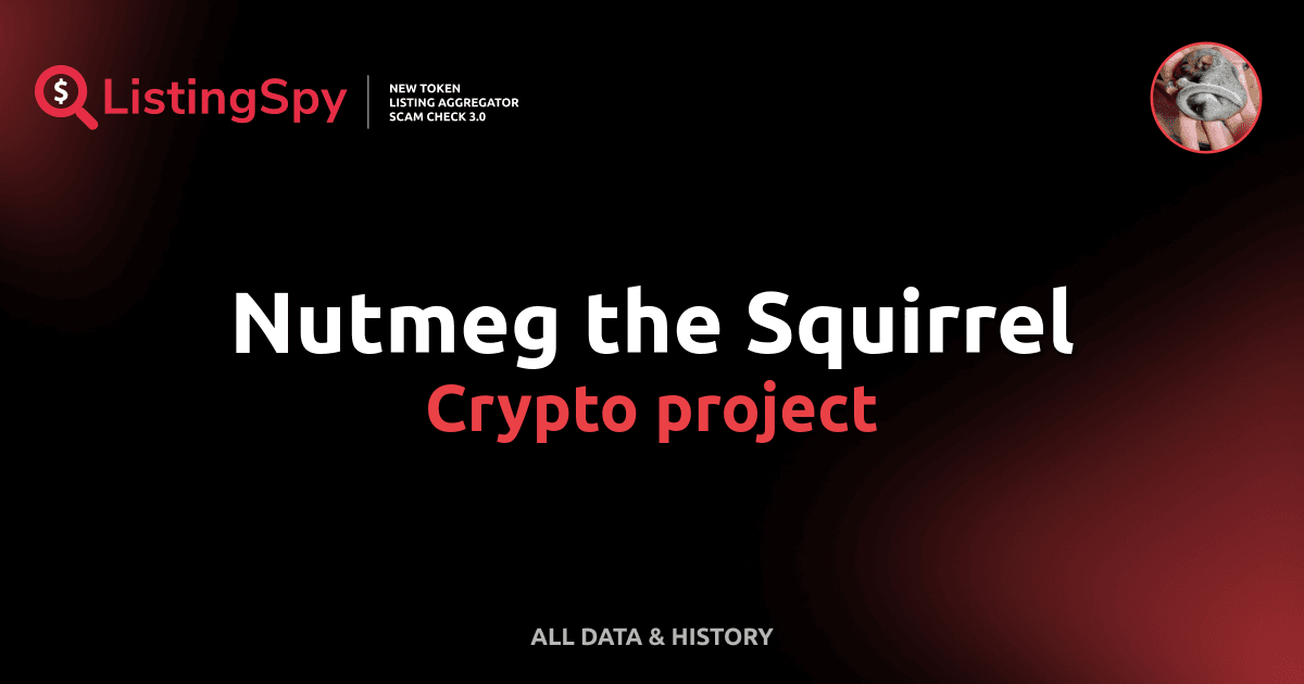 Nutmeg the Squirrel crypto project: NUTMEG token listings, events ...