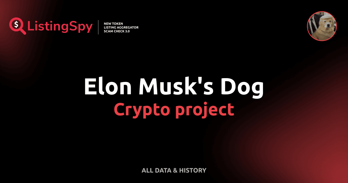 Elon Musk's Dog crypto project: Dognald token listings, events, analysis | ListingSpy