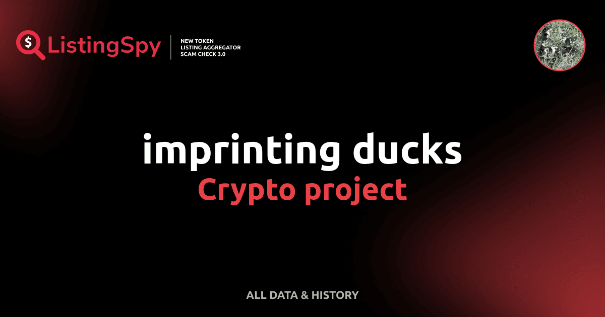 imprinting ducks crypto project: Quack token listings, events, analysis ...