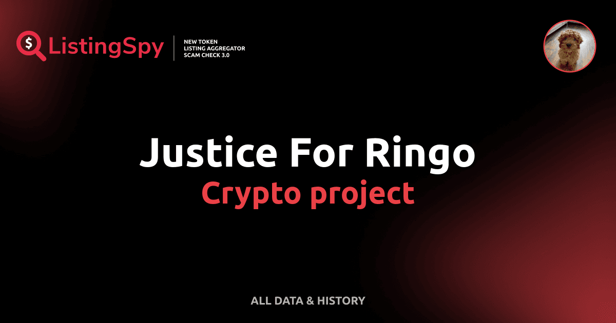 Justice For Ringo crypto project: Ringo token listings, events, analysis | ListingSpy