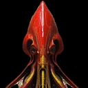 MASKRADAMUSK crypto project: MASKMUSK token listings, events, analysis | ListingSpy