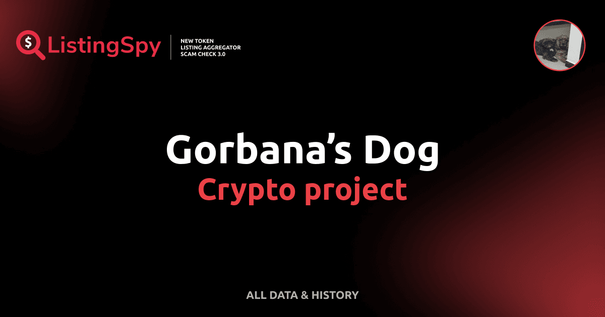 Gorbana’s Dog crypto project: Mikasa token listings, events, analysis ...