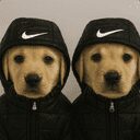 Twin crypto project: Twin token listings, events, analysis | ListingSpy