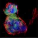 spacecat crypto project: spacecat token listings, events, analysis | ListingSpy